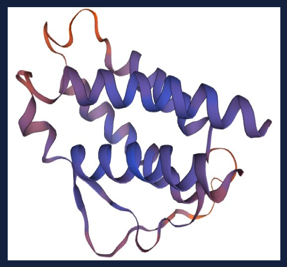 Golden Hamster Purified Proteins – GlycoScientific